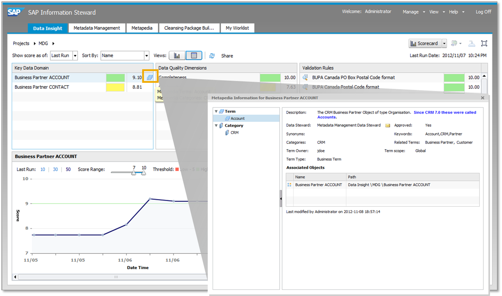 Managing Data Quality with SAP Information Steward